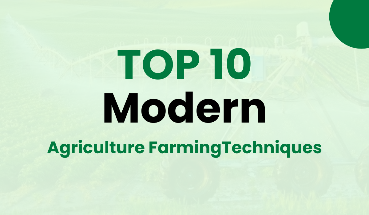 Top 10 Modern Agriculture Farming Techniques Transforming India
